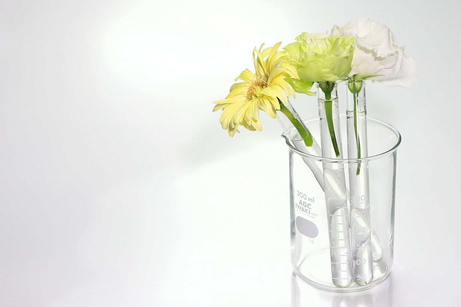 毛髪再生医療によるAGA治療｜PRP療法・幹細胞培養上清療法を解説 - 再生医療DOC-再生医療を提供するおすすめ名医を中心に掲載